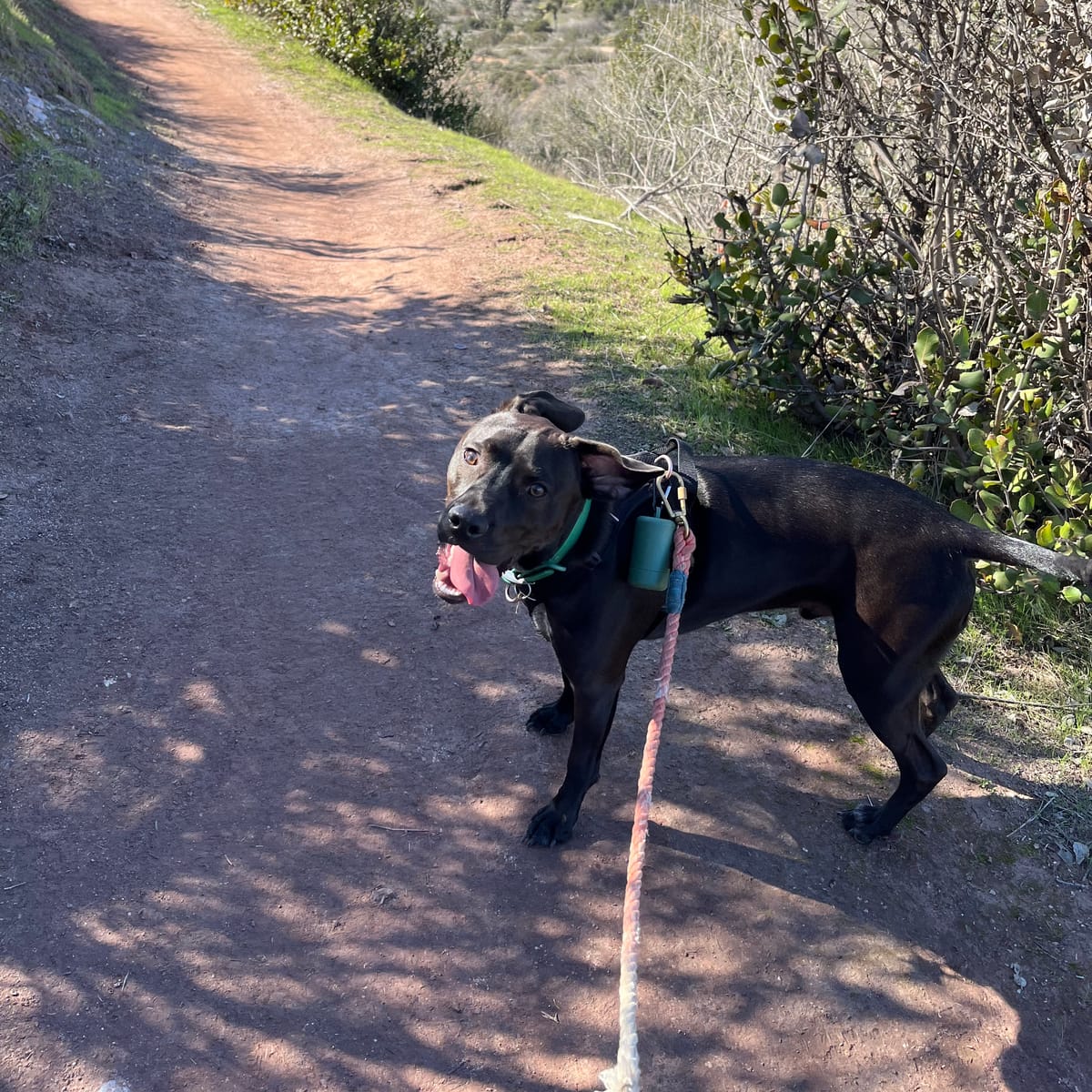 Progression (Not Perfection)